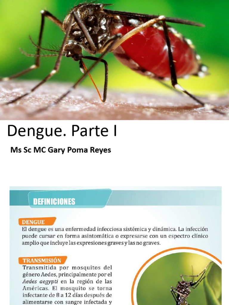 Dengue Parte I - COISHCO. DR Gary Poma | PDF | Especialidades Medicas ...