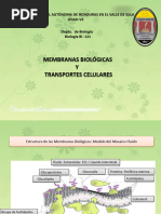 Radiolarios: Taxonomía y Aplicaciones | PDF | Biología Celular | Anatomía