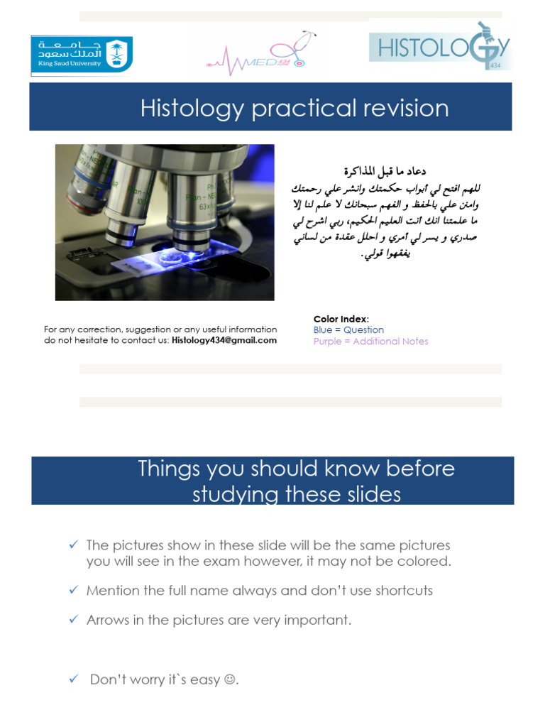 Histology Practical Revision | PDF | Epithelium | Lymph Node
