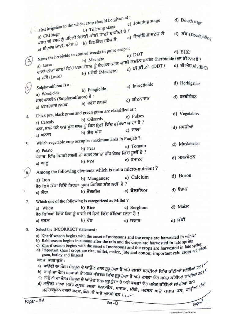 Punjab Patwari Mains Paper PDF | PDF