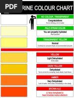 IMO Lifting Equipment Color Codes 2023 | PDF