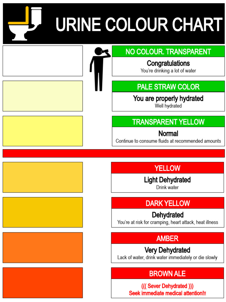Urine Colour Chart | PDF | Cooking, Food & Wine