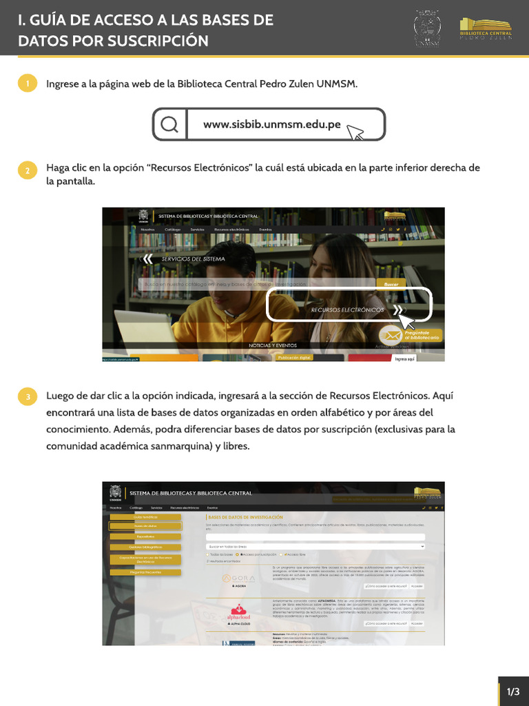 Guia de Acceso Bases de Datos Suscripcion | PDF | Informática