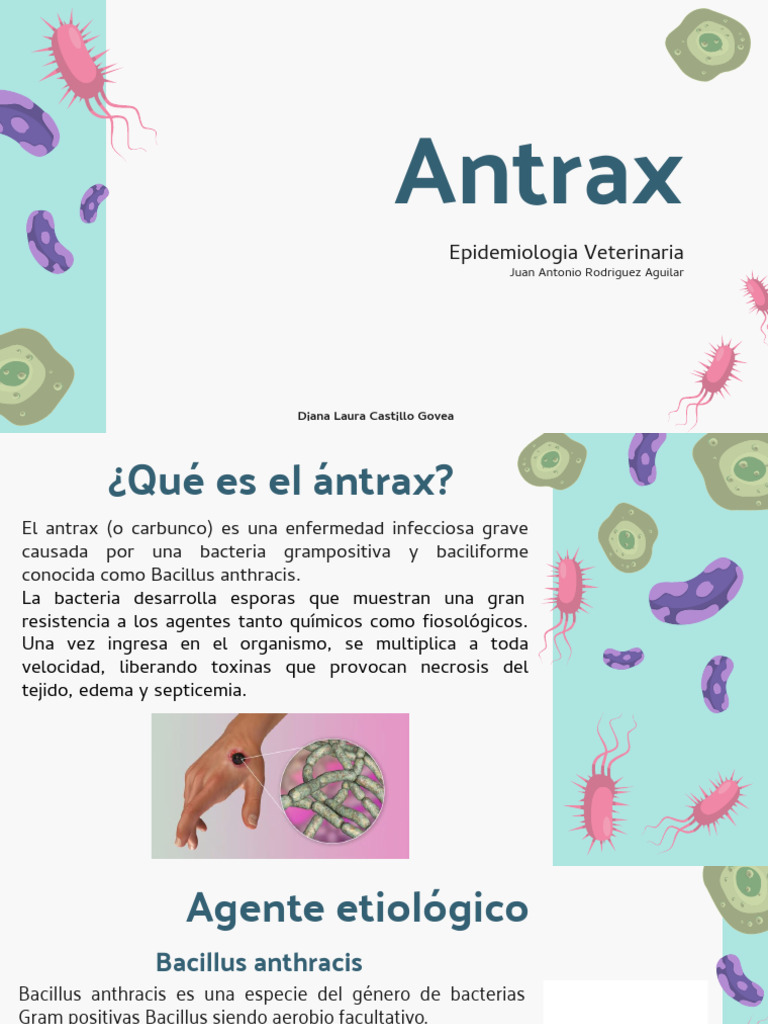 Antrax | PDF | Ántrax | Biología