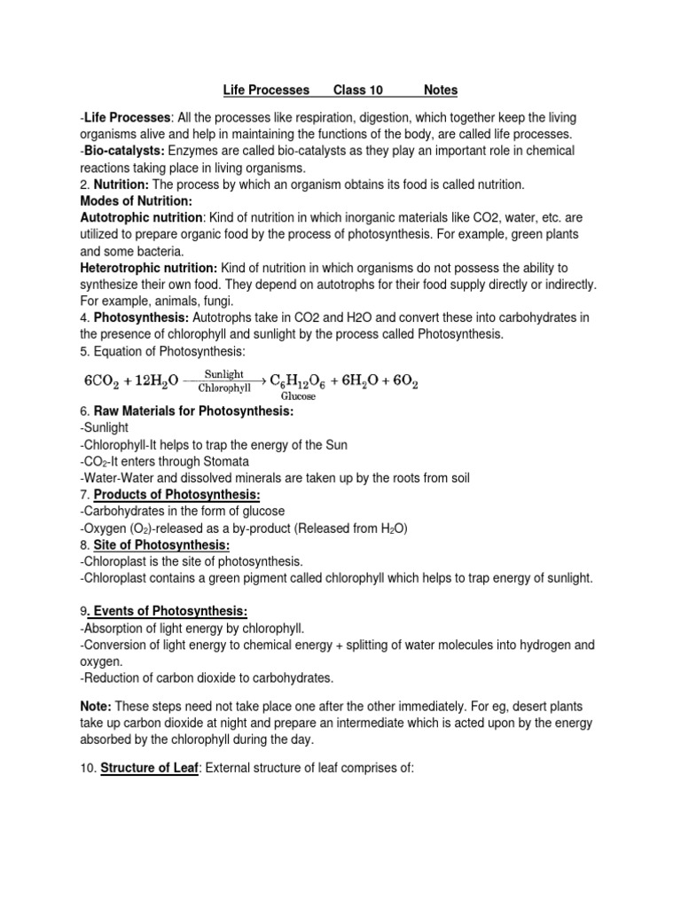 Nutrition Notes | PDF | Digestion | Leaf