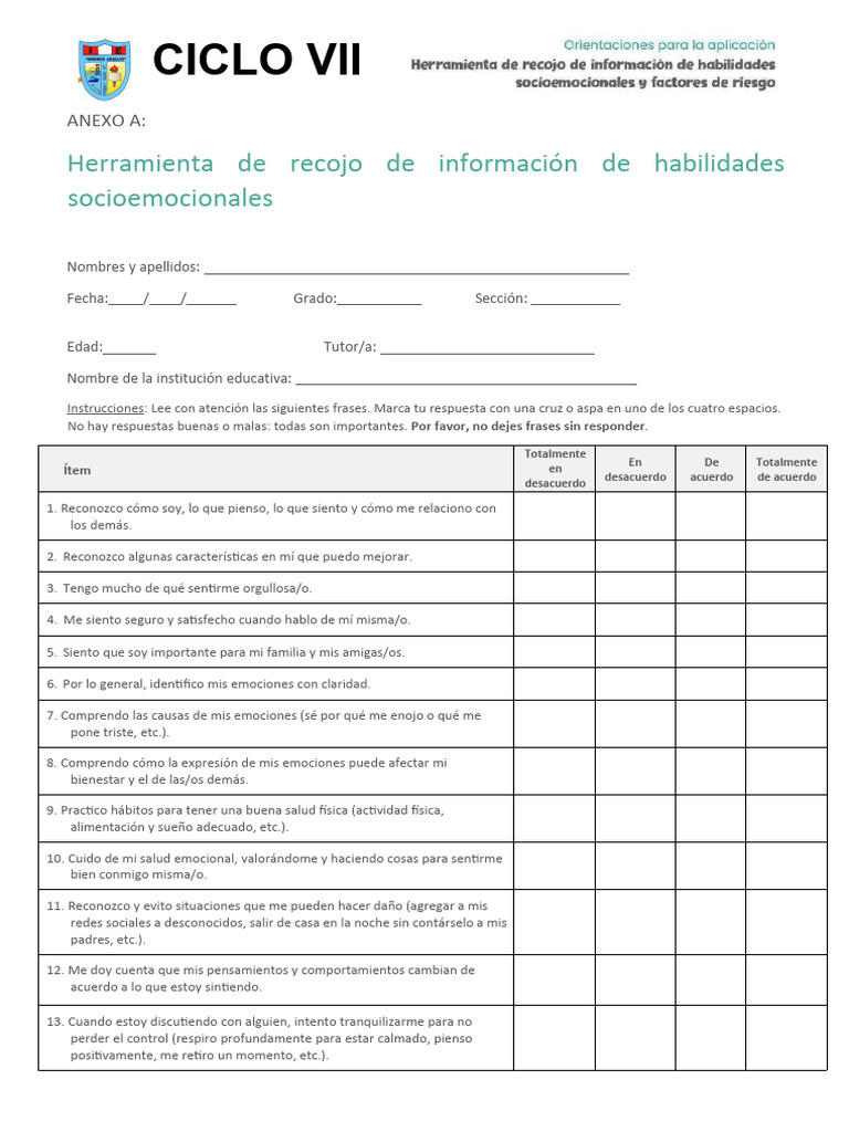 Ciclo Vii Instrumento de Recojo de Informacion Hse | Descargar gratis ...