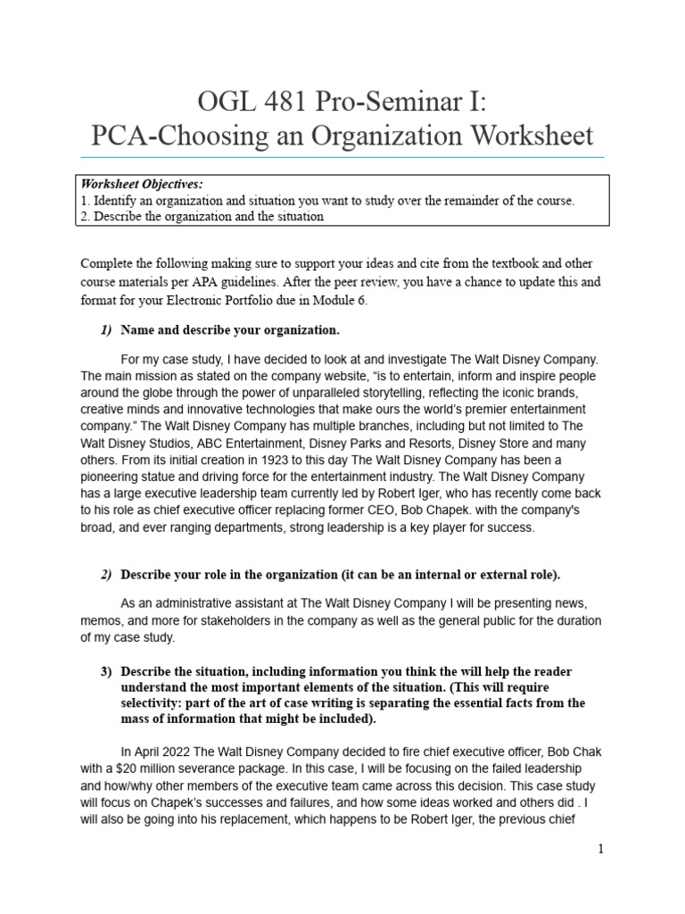 1 Choosing An Org Worksheet | PDF