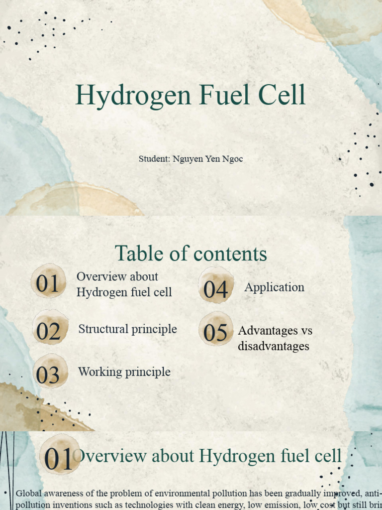 Hydrogen Fuel Cell | PDF | Anode | Fuel Cell