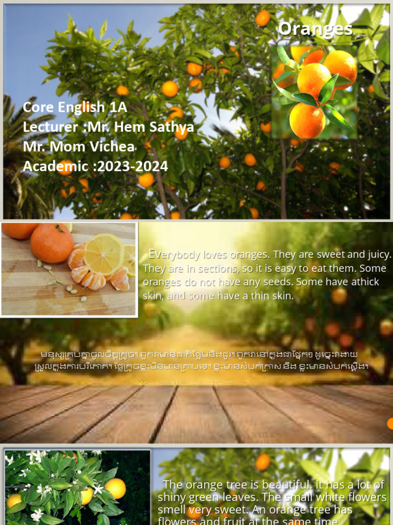 Oranges | PDF