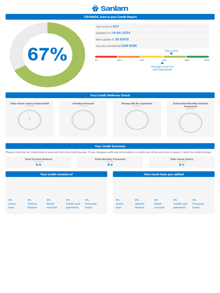 2024-4-14-TSHANGA MOYO-Your Summary Sanlam Credit Profile | PDF