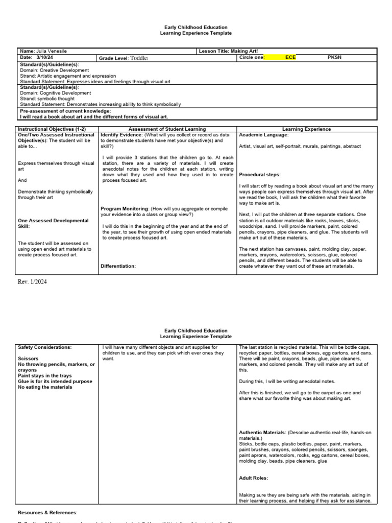 visual arts lesson plan | PDF | Neuroscience | Cognitive Science