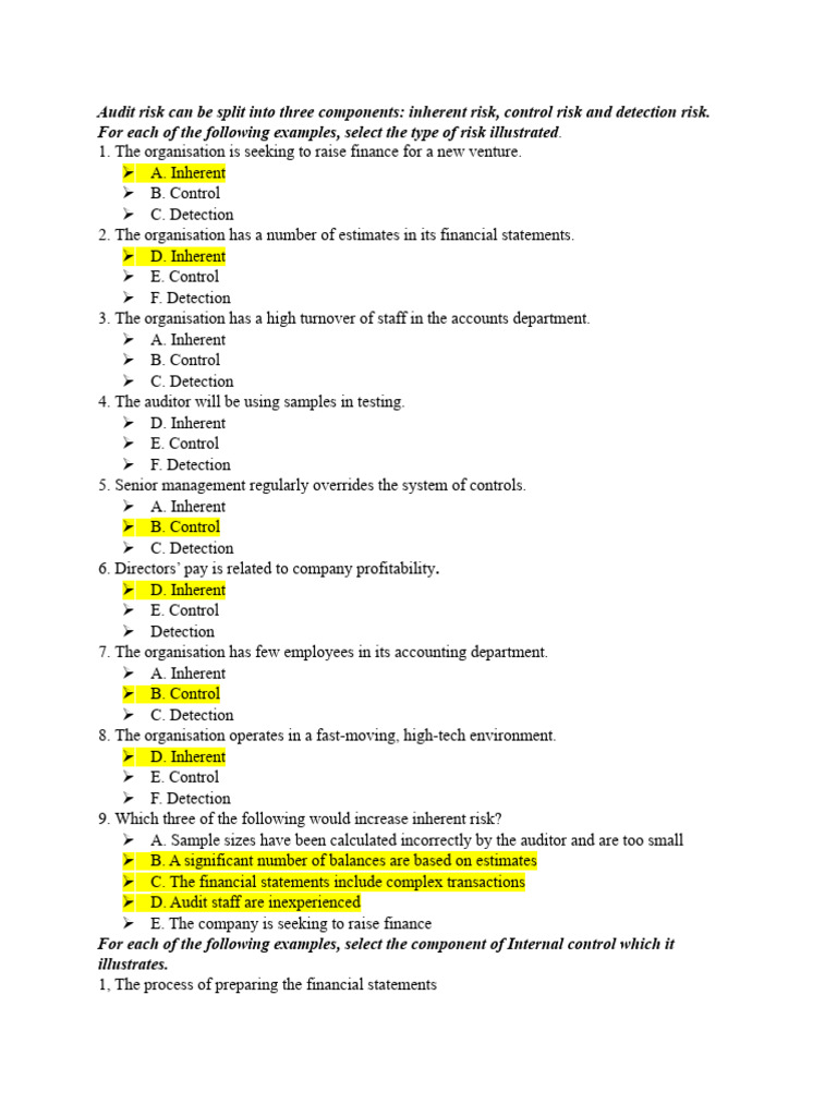 SV-EX-Audit-risk-internal-control | PDF | Internal Control | Audit