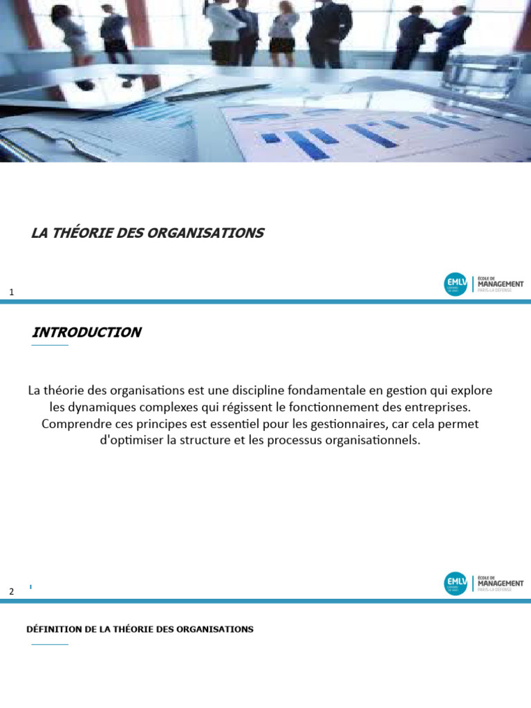 Théorie Des Organisations | PDF | Business | Psychologie