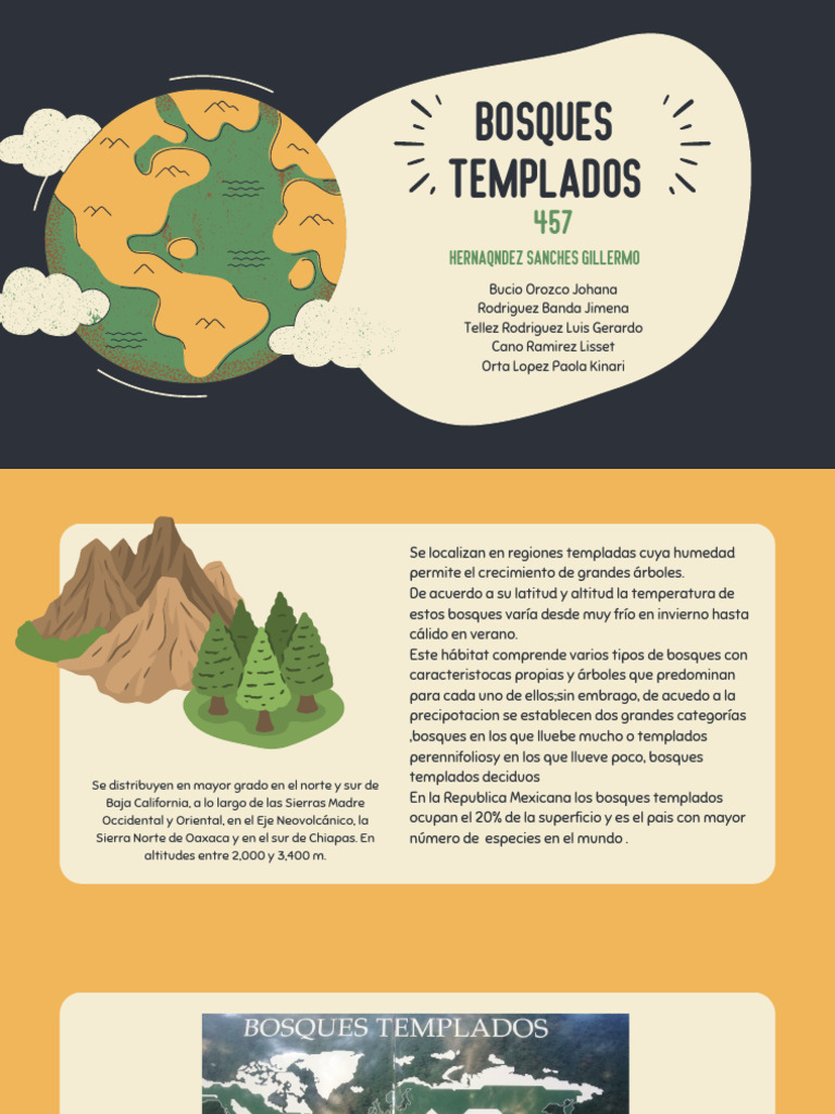 bosques templados | PDF | Clima templado | Los bosques