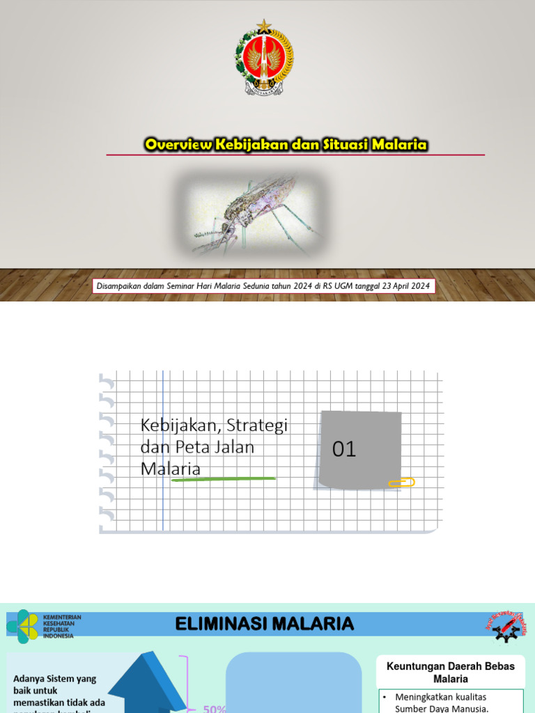 Overview Kebijakan Dan Situasi Malaria DIY 2024 | PDF