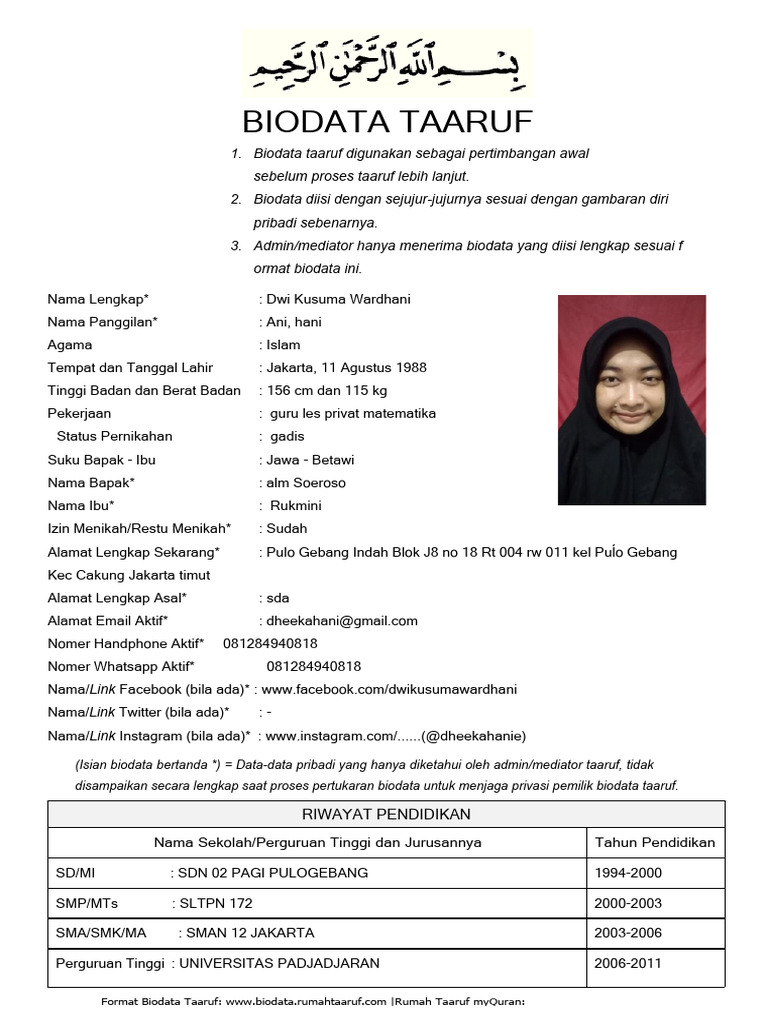 CV Taaruf | PDF