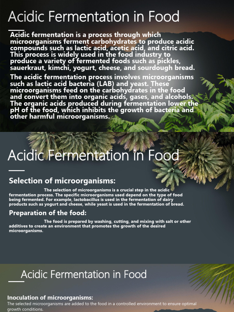 Acidic Fermentation in Food | PDF | Fermentation | Fermentation In Food ...