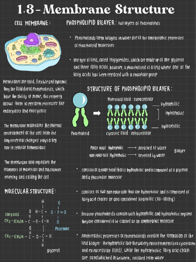 Cell Biology Notes | PDF