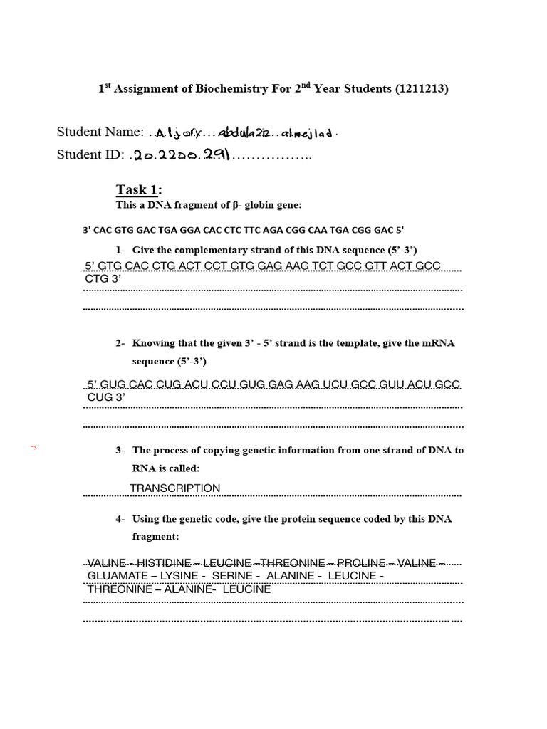 Biochemistry Assignment: β-Globin Gene Analysis | PDF | Nucleic Acid Sequence | Genetic Code