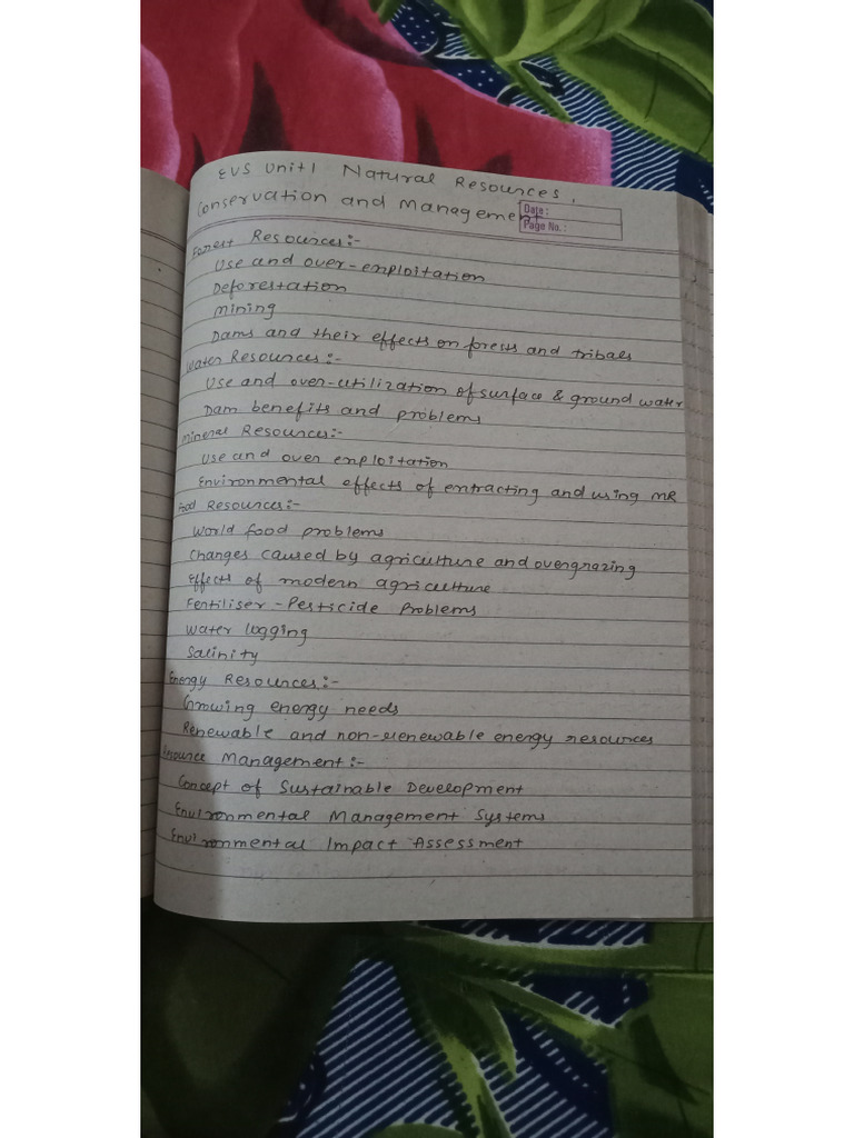 Evs U1 Handwritten | PDF