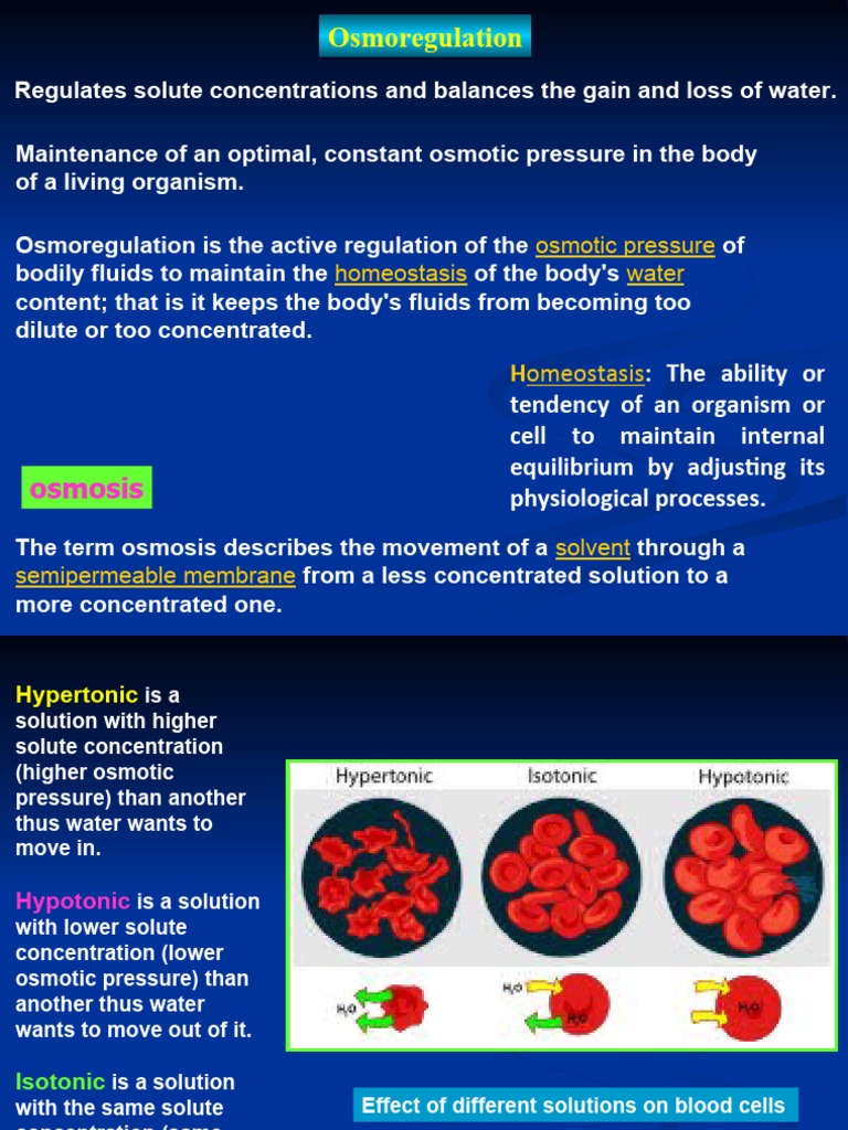 Osmo Regulation | PDF | Osmosis | Biology