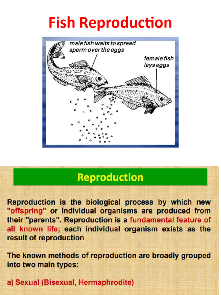 Reproduction of Fishes | PDF