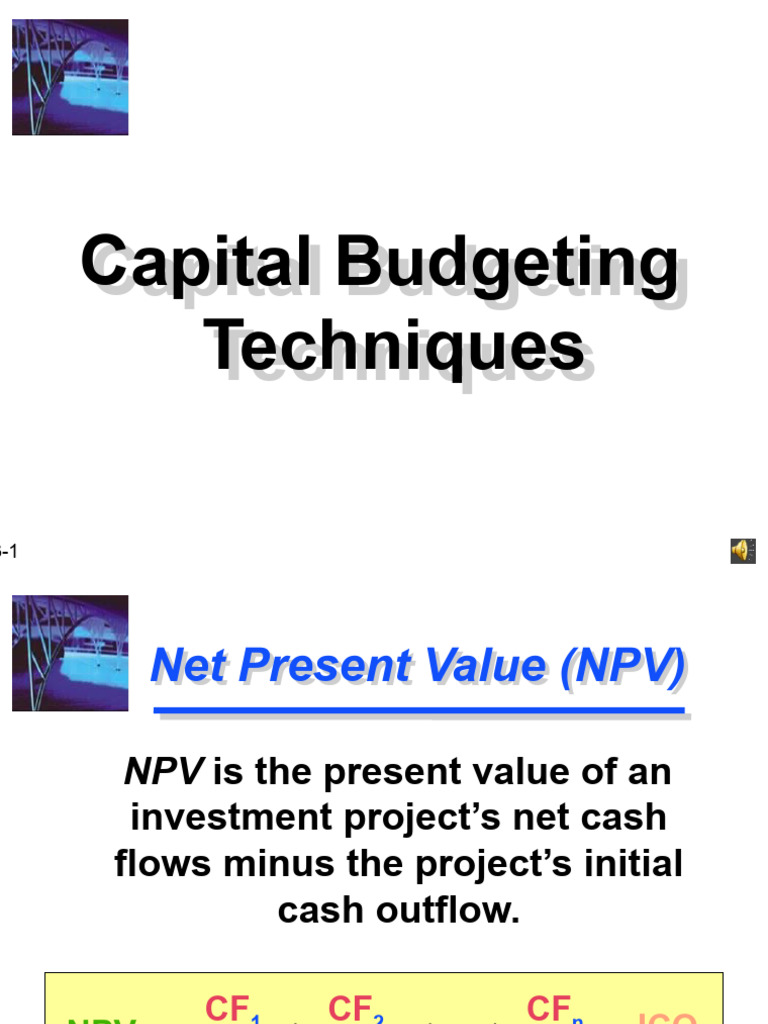 Capital Budgeting Techniques + NPV AND PI | Download Free PDF | Net ...
