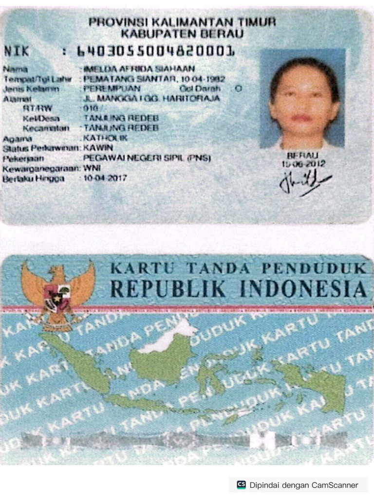 Surat Kepala Dinas Penanaman Modal Dan Pelayanan Terpadu - 9 - KTP | PDF