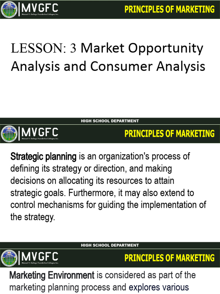 Market Opportunity & Consumer Analysis Guide | PDF | Marketing | Economies