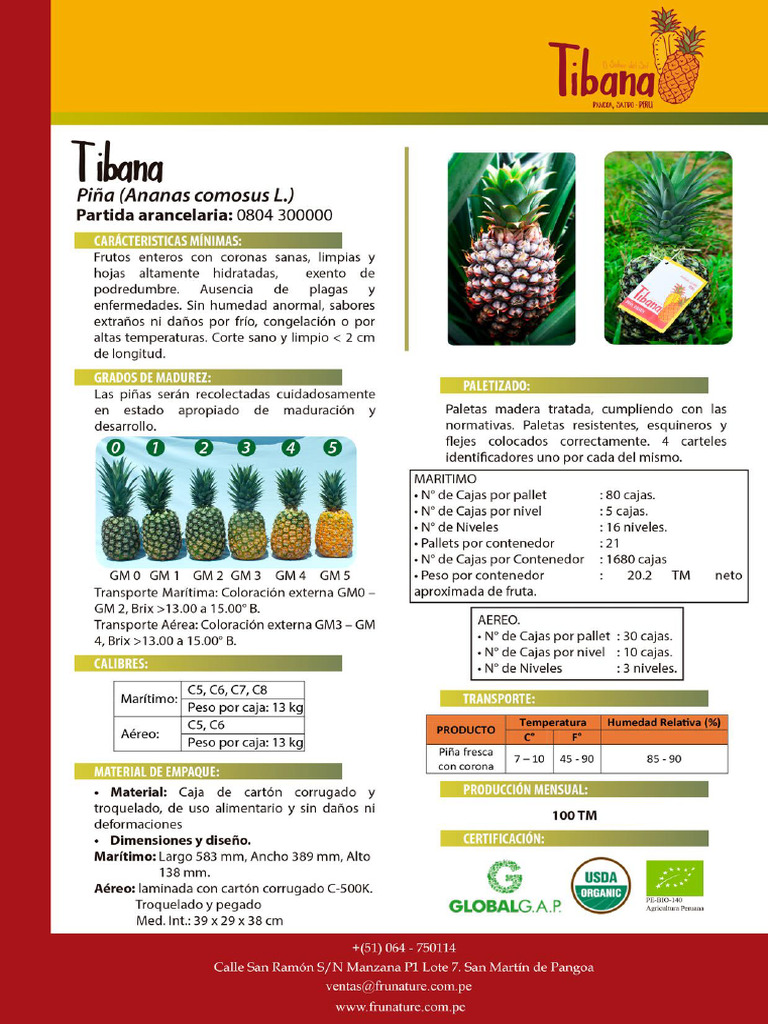 Tech - Dta - Sheet - Golden Pinaple | PDF Tech - Dta - Sheet - Golden Pinaple | PDF