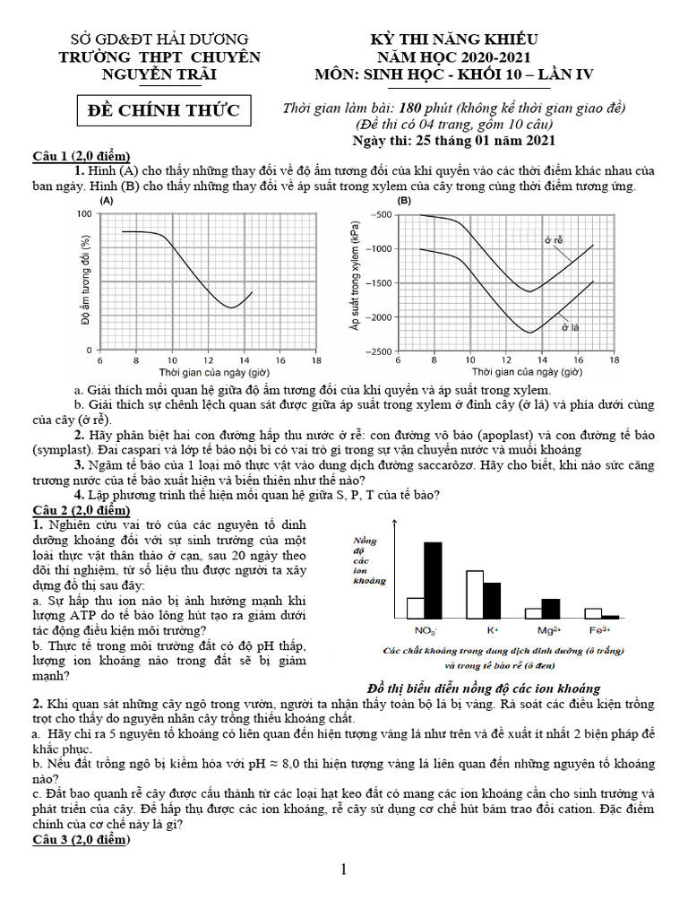 10sinh Thinangkhieulan4 2020 2021 | PDF