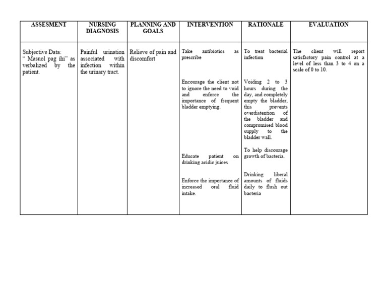 NCP (Painful Urination) | PDF | Urination | Causes Of Death