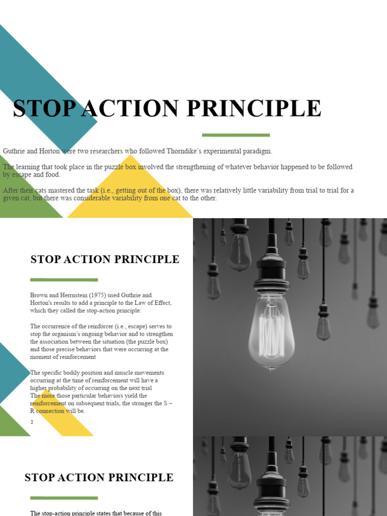 Stop Action Principle | PDF | Reinforcement | Behavior Modification