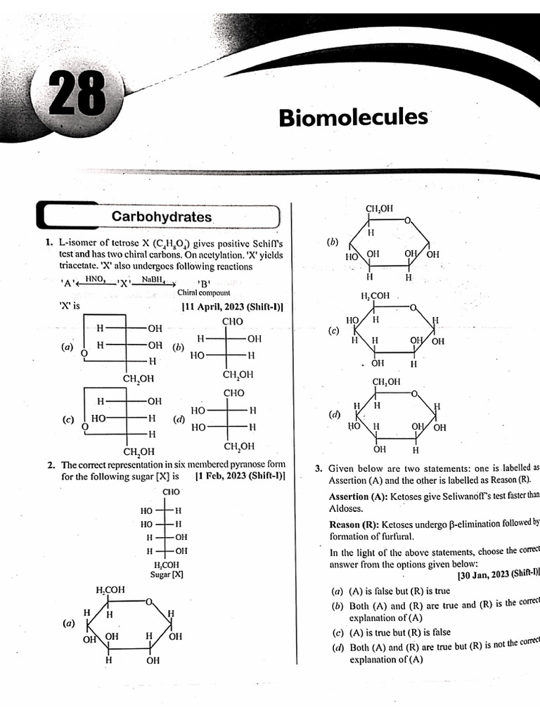 Biomolecules | PDF