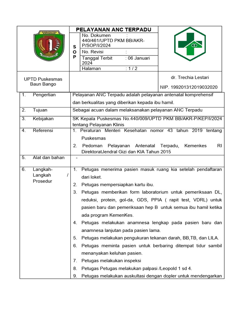 Pelayanan Anc Terpadu | PDF