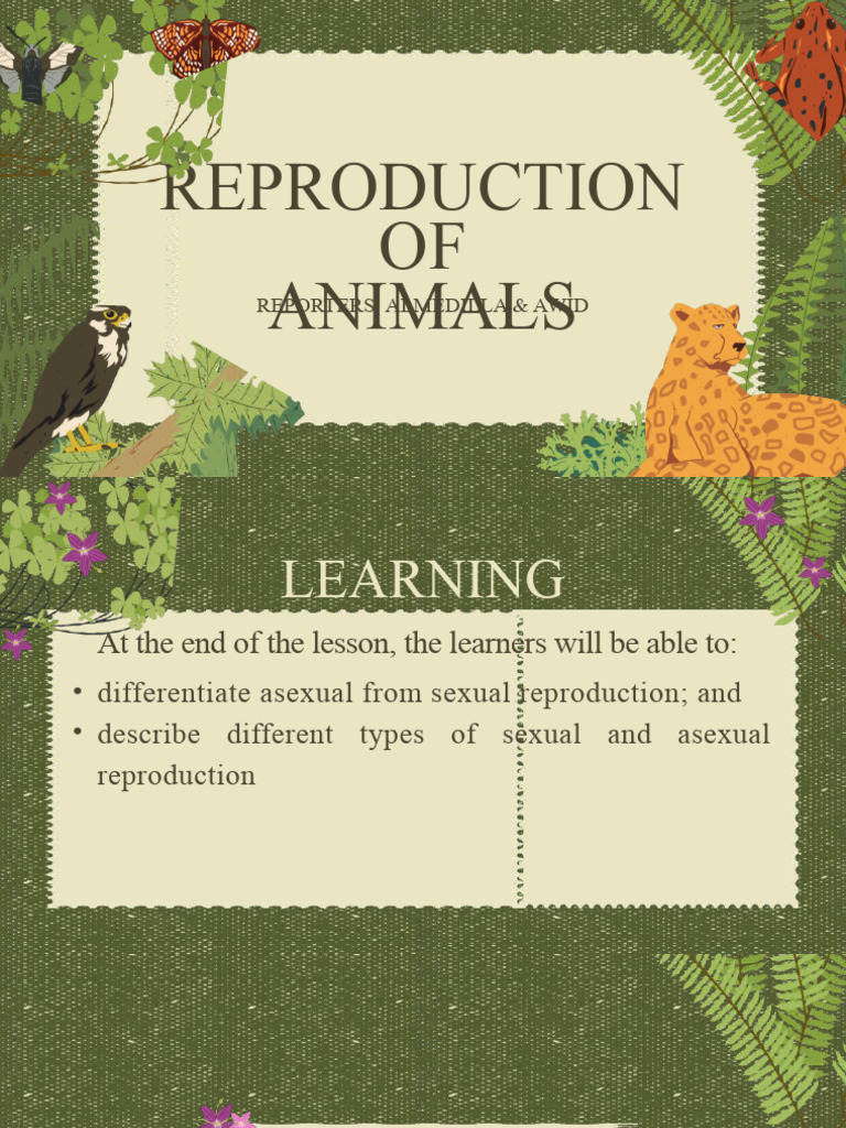 Types of Animal Reproduction Explained | PDF | Sexual Reproduction ...