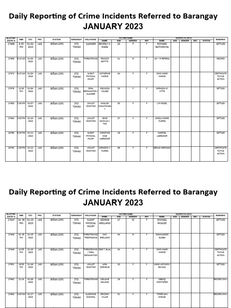Pnp Report 2024 | PDF | Defamation