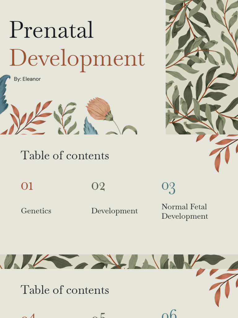 Prenatal Development | PDF | Genetics | Prenatal Development