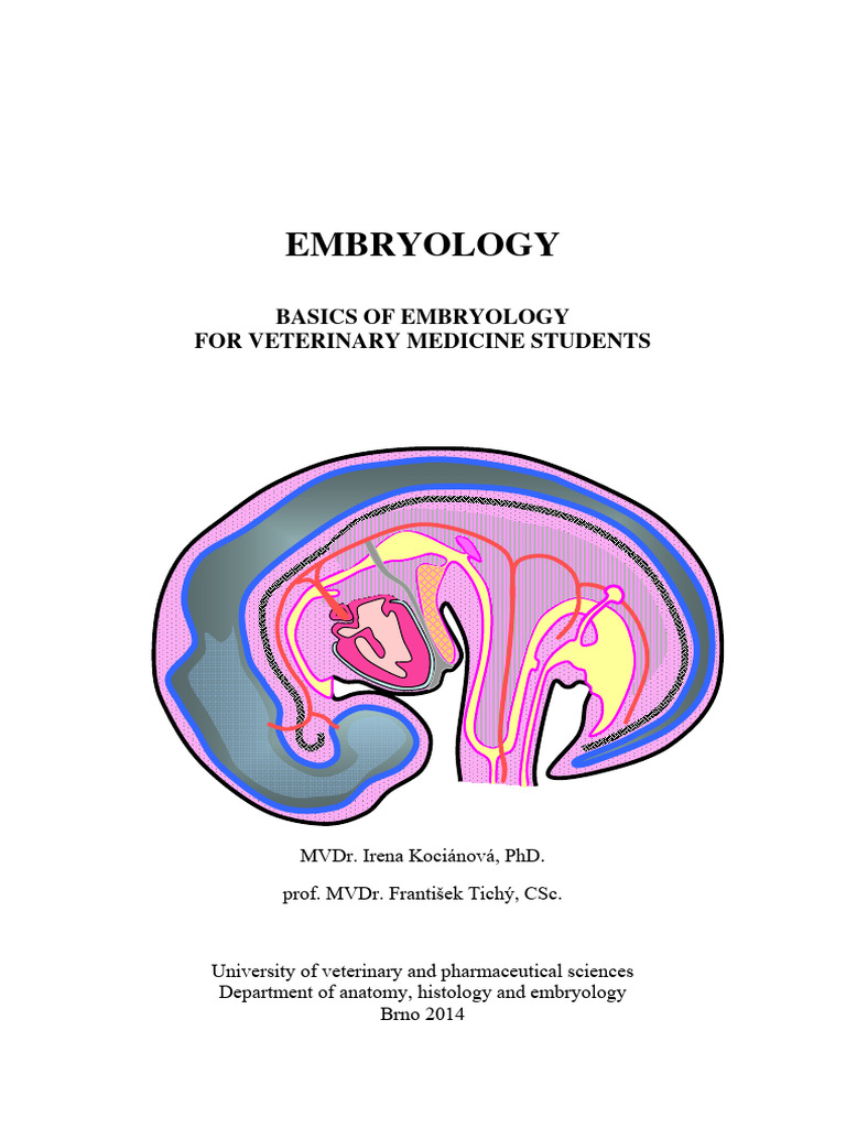 PRINT,I-Embryology | PDF | Fertilisation | Menstrual Cycle