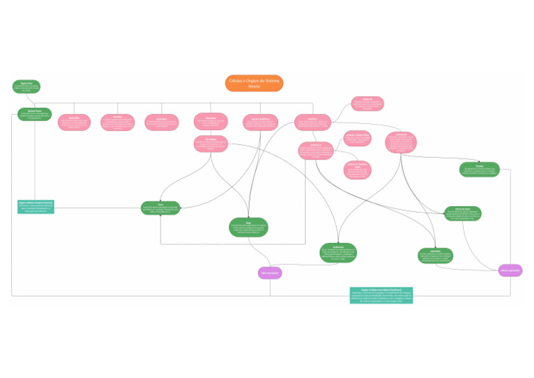 Mapa Conceitual | PDF