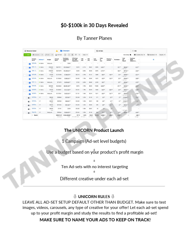 Facebook Ads Success Blueprint | PDF | Facebook | Real Time Computing