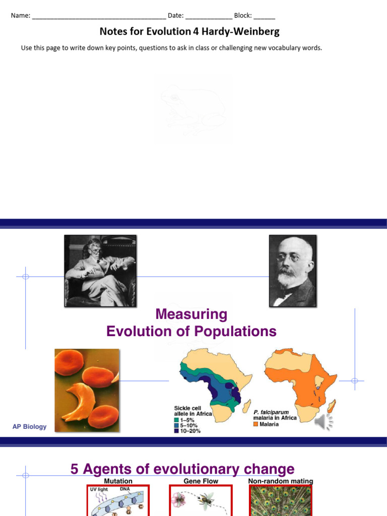 Evolution 4 Lecture Notes 2021 | PDF | Zygosity | Dominance (Genetics)