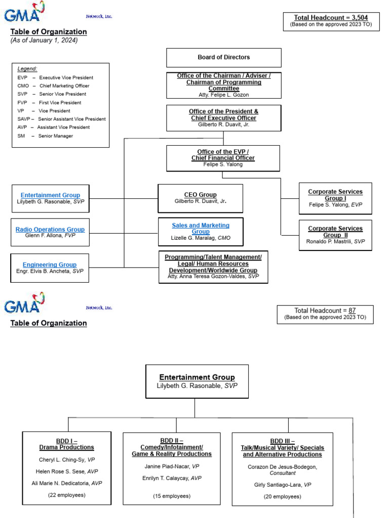 organizationalchart_1709366272 | PDF | Vice President | Leadership