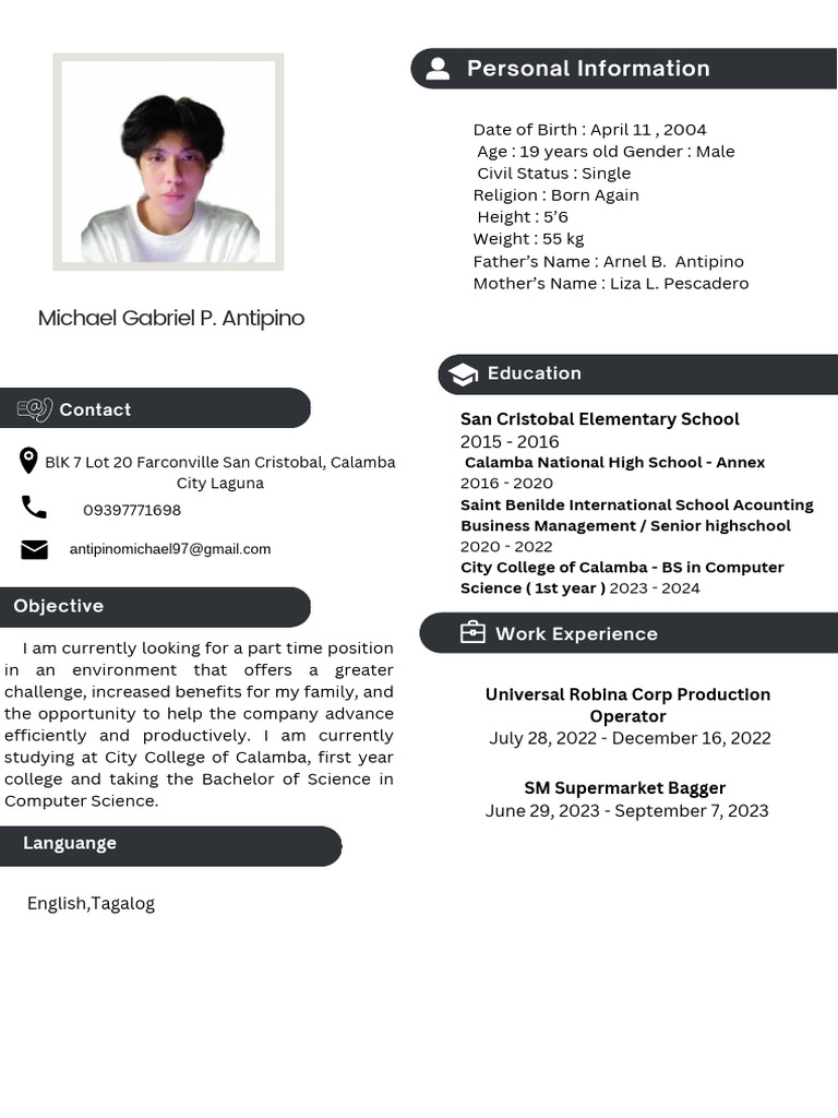 Michael Resume | PDF