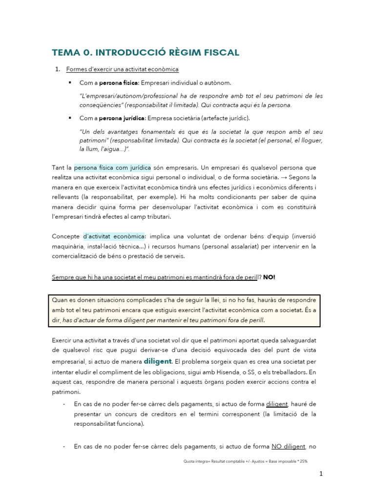 Fiscal Apunts Finals | PDF