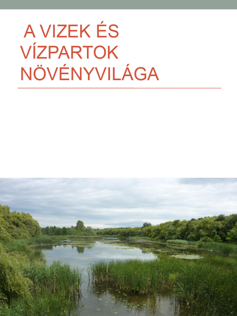 H N RN V Nyek - PPTX 1 | PDF