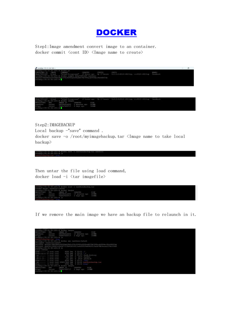 Docker Image Backup | PDF