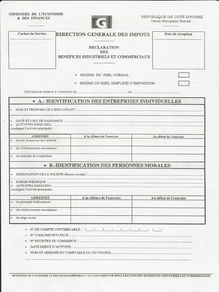 Déclaration BIC | PDF