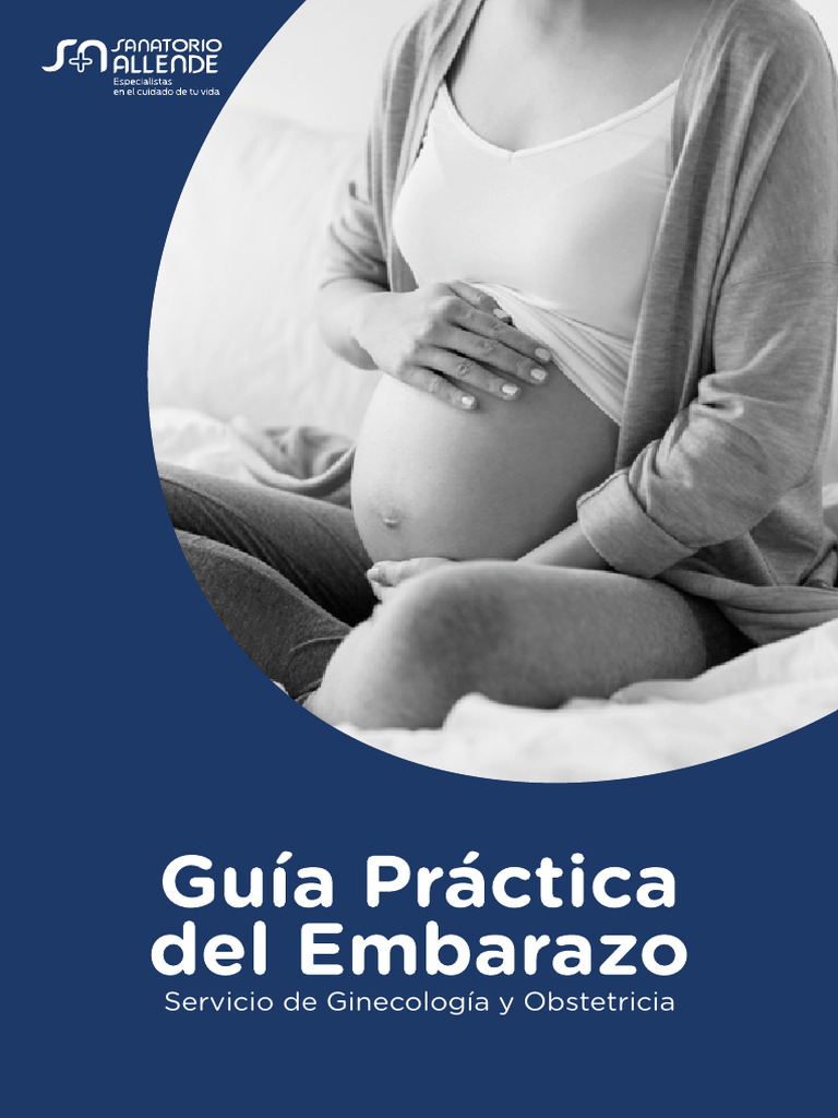 Guía Práctica Del Embarazo | Descargar gratis PDF | Parto | El embarazo
