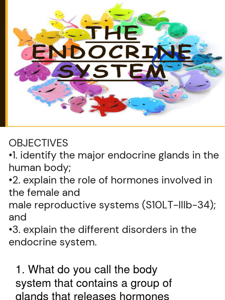 Endocrine System ppt1 | Download Free PDF | Endocrine System | Hormone